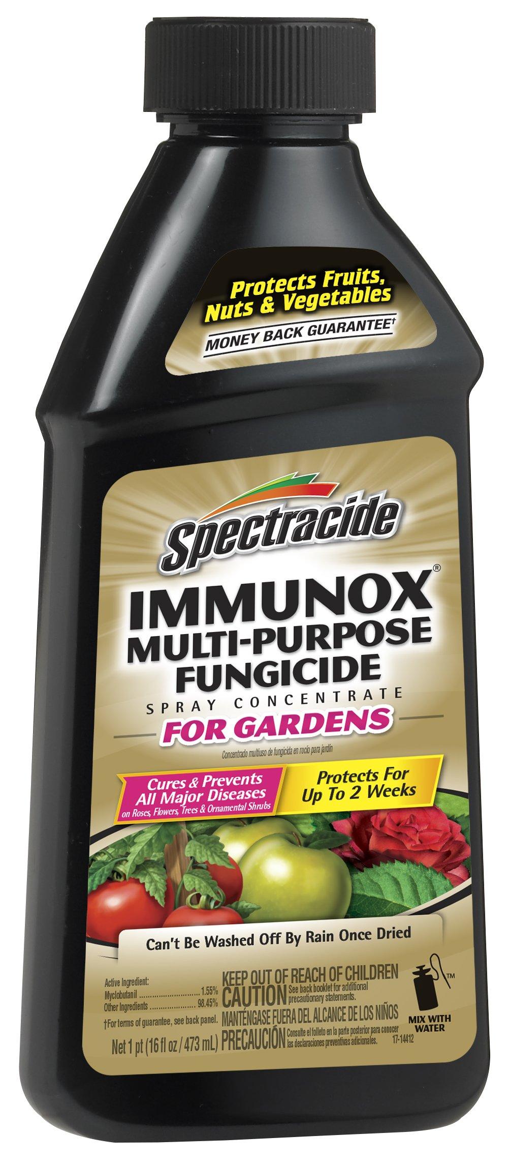 Spectracide Immunox Multi-Purpose Fungicide Spray Chile | Ubuy